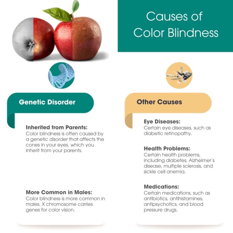 Color Blindness Treatment NYC | Color Blind Glasses Downtown Manhattan